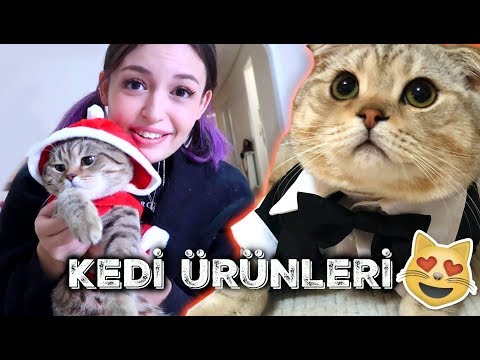 ÇILGIN KEDİ ÜRÜNLERİNİ DENEDİK! ft BEHLÜL, YASU!