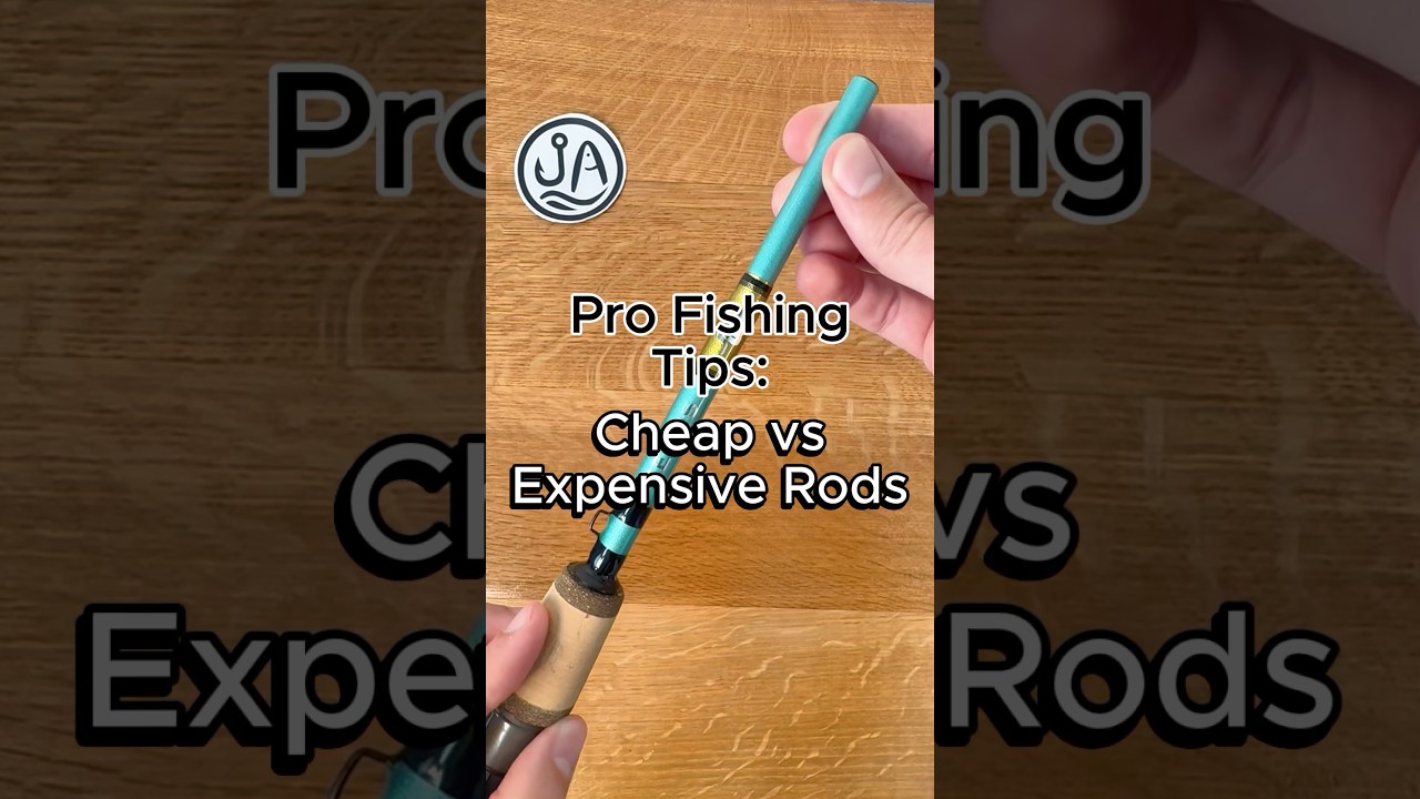 Cheap vs Expensive Fishing Rods #fishing #fishingrod #customrod # ...
