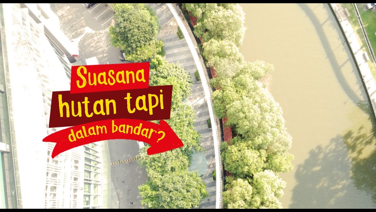 Suasana Hutan Tapi Dalam Bandar? | Urban Jungle Walk - YouTube