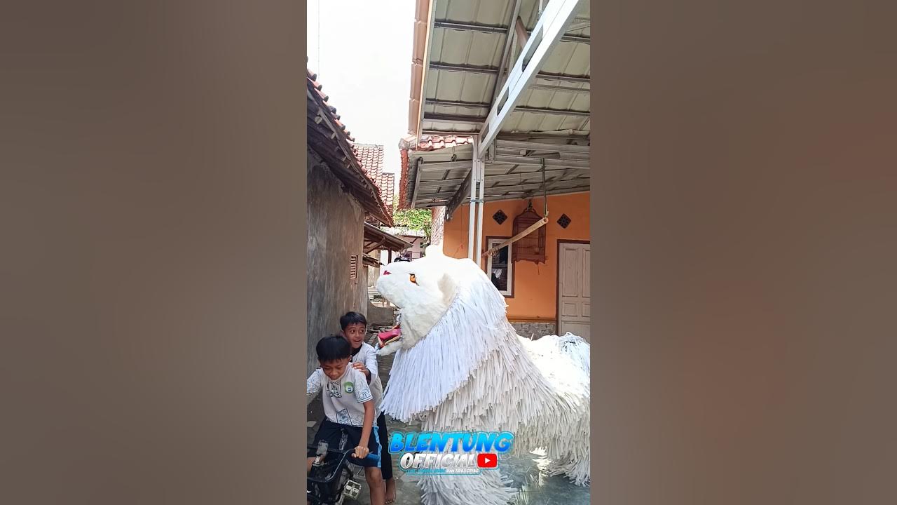 Lagi santai naik sepeda bocil ff di makan can macanan - YouTube