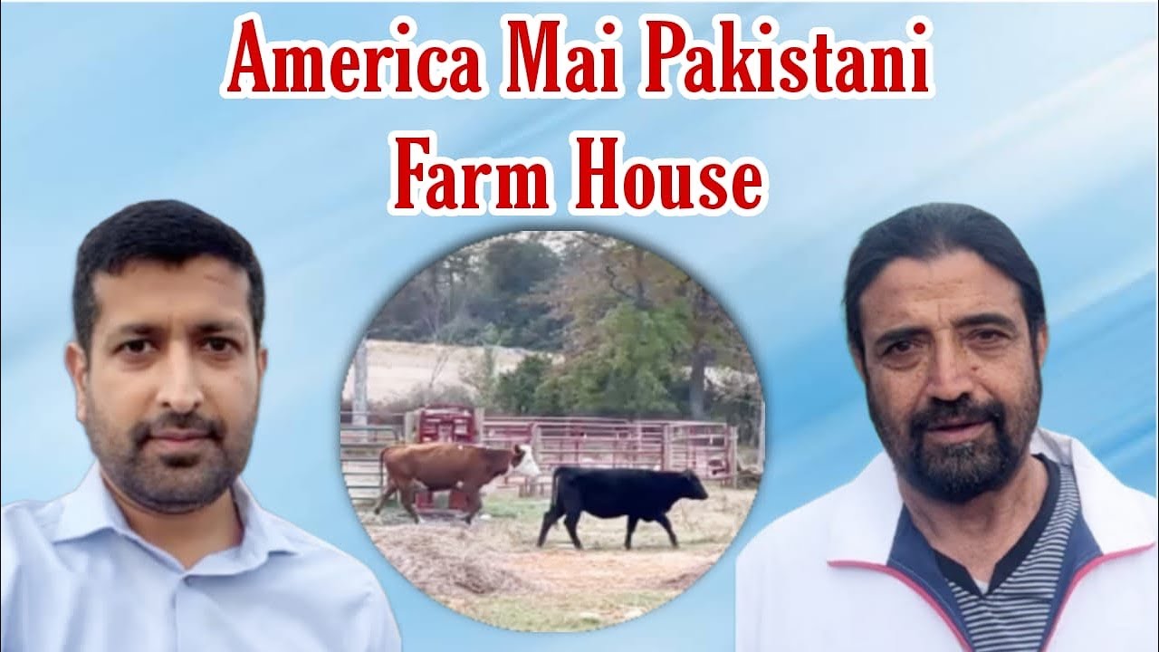 A visit to a Pakistani Farm house in Virginia,USA🐑🐄🇺🇸 - YouTube