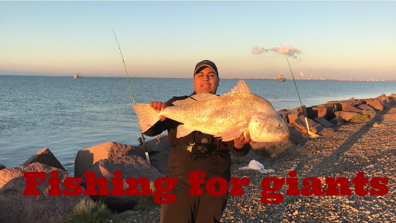 Texas city dike bull red fishing - YouTube