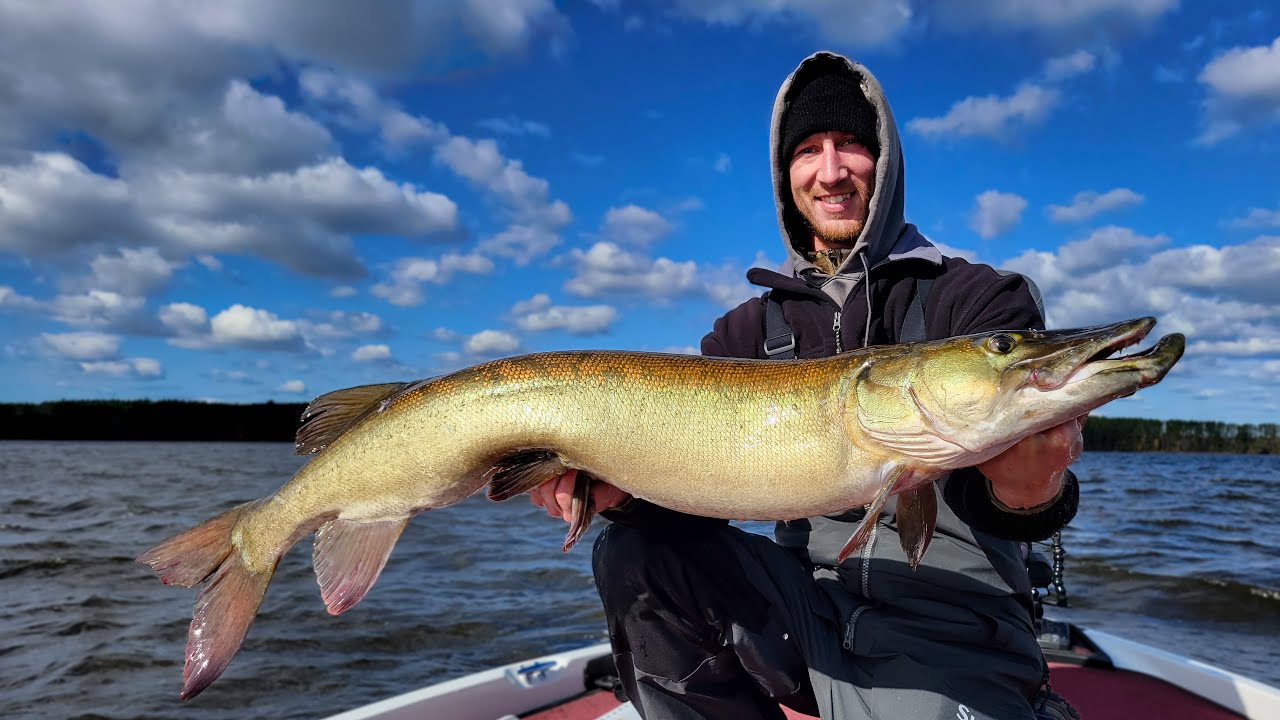Fall Musky Fishing in the Northwoods (Big Fish Encounter) - YouTube