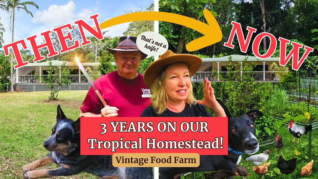 3 YEARS IN 🥰 Our Tropical Homestead🌴🤠🐔 - YouTube