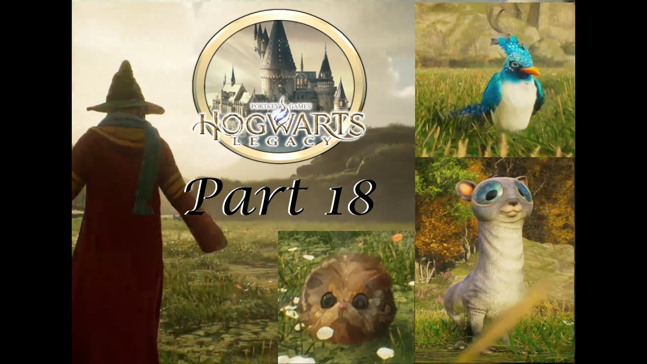 Hogwarts Legacy pt.18 Magical Creatures, Where and How to Find Them ...