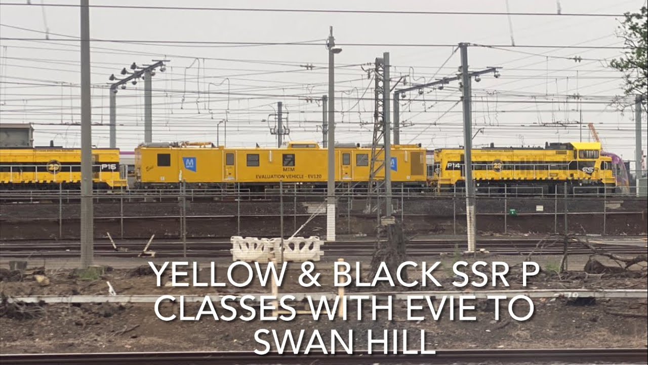 Yellow & Black SSR P Classes With Evie To Swan Hill - YouTube