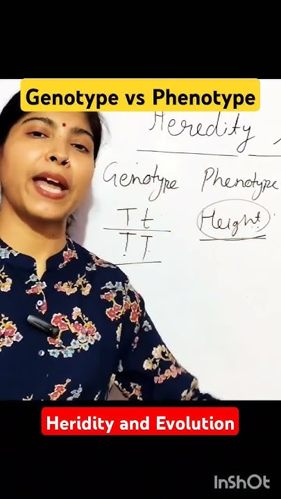 Genotype vs Phenotype#genotype#phenotype#heridityandevolutiion#biologyclass10th - YouTube
