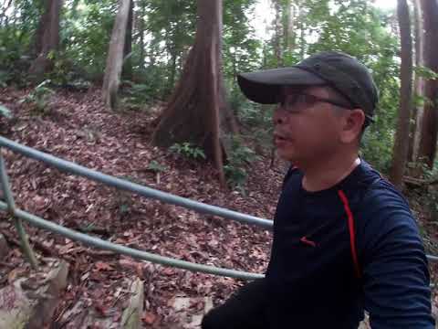 Hiking Gunung Raya, Langkawi#langkawi#solohiking#gunungraya#lubuksemilang