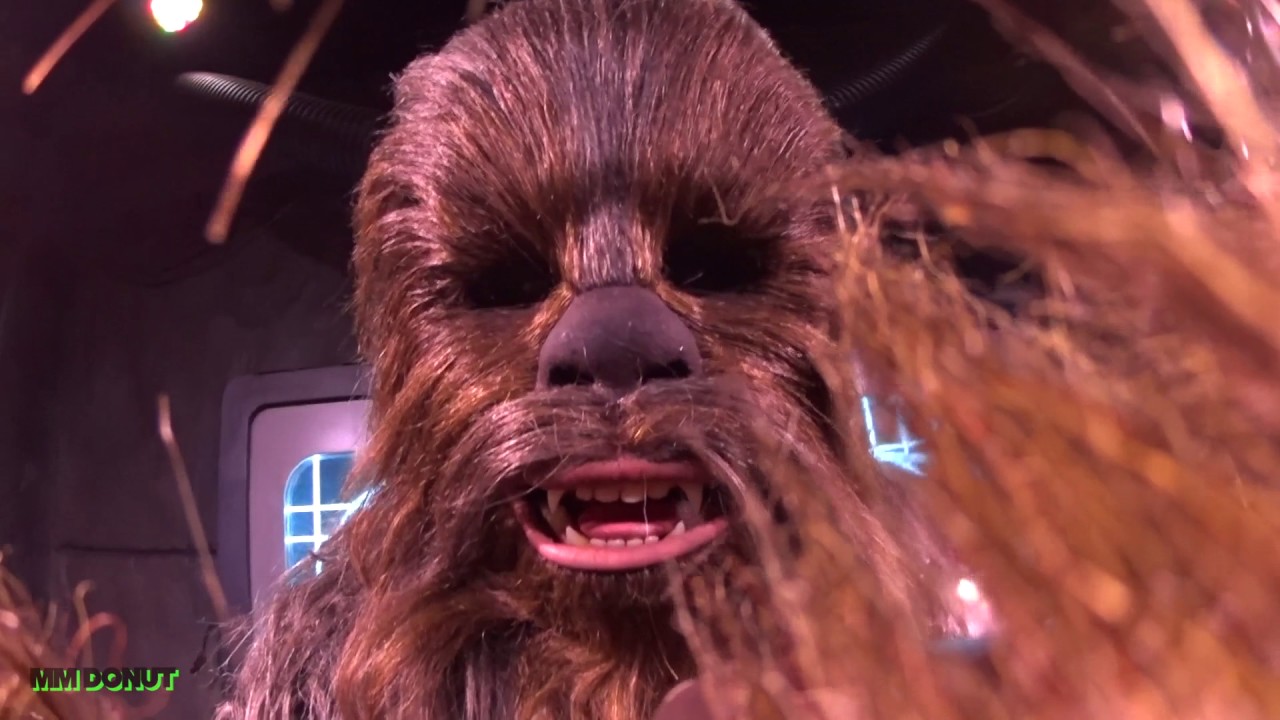 Chewbacca Took My Camera! Walt Disney World Disney's Hollywood Studios ...