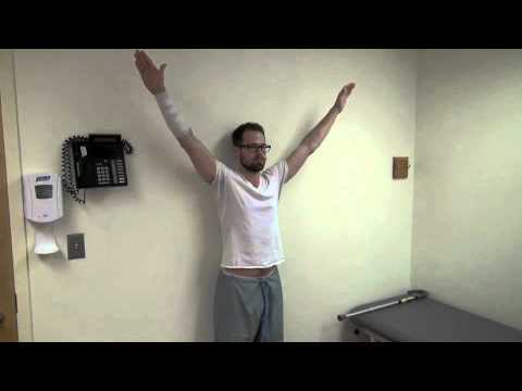 BOSSHIN PT 56 Active Forward Flexion in the Scapular Plane - YouTube