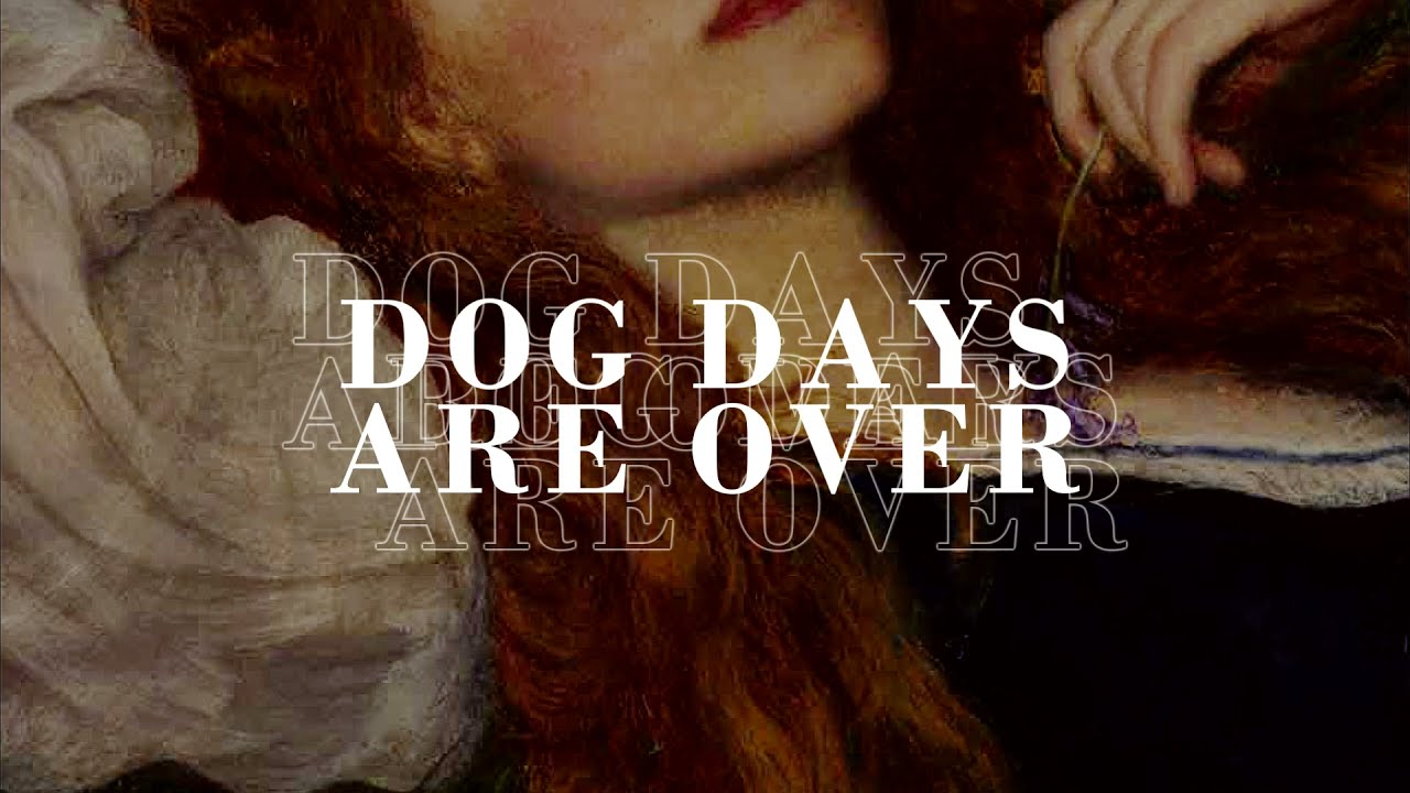 dog days are over florence and the machine | traducida al español ...