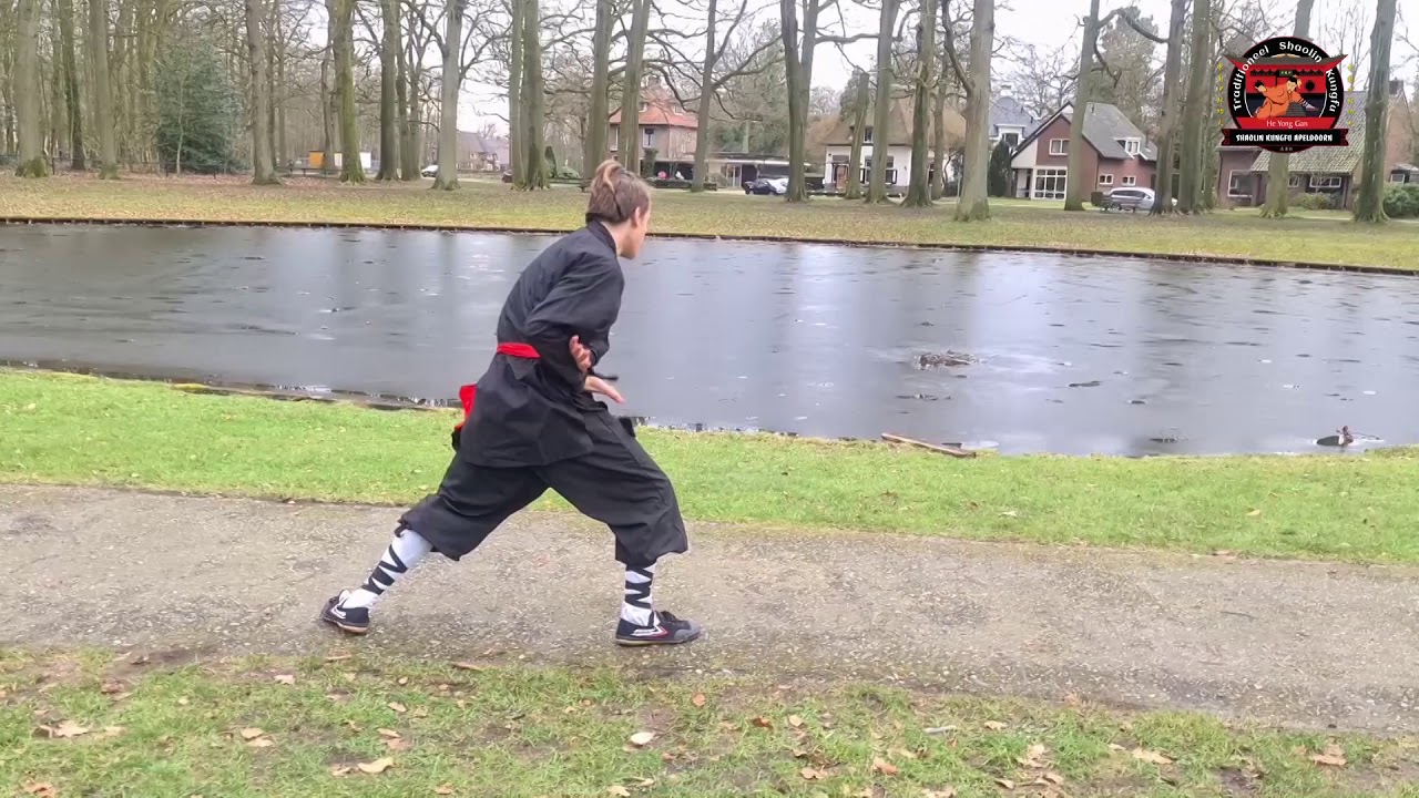 Luohan Quan - Lohan Quan of Shaolin Kung Fu | Martial Arts - YouTube