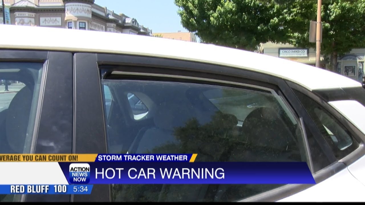 Hot car warning– what you need to know to stay safe this summer - YouTube