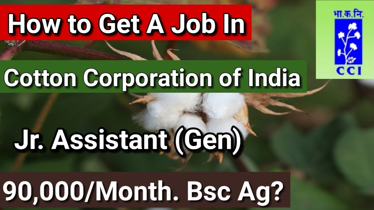 Cotton Corporation Of India Job || Bsc Agriculture Jobs|| Agristudy ...