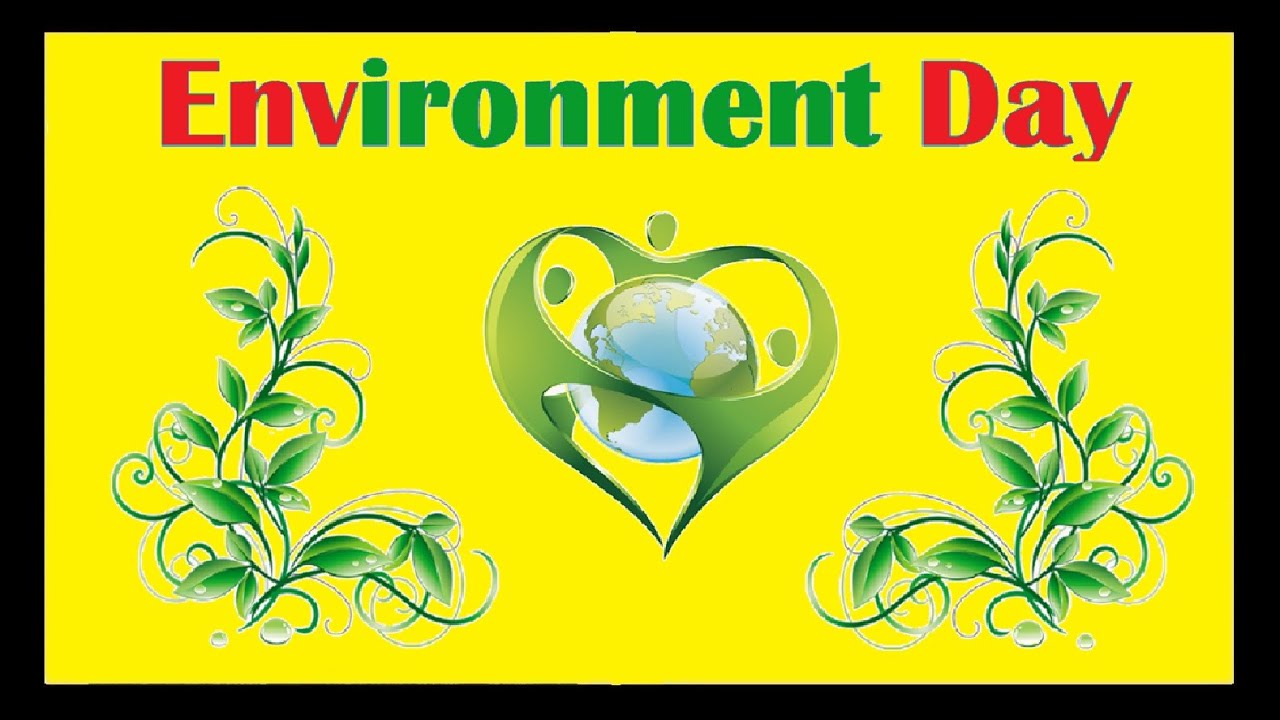 World Environment Day Unknown Facts MWANAMAZINGIRA world-environment-day-unknown-facts-mwanamazingira