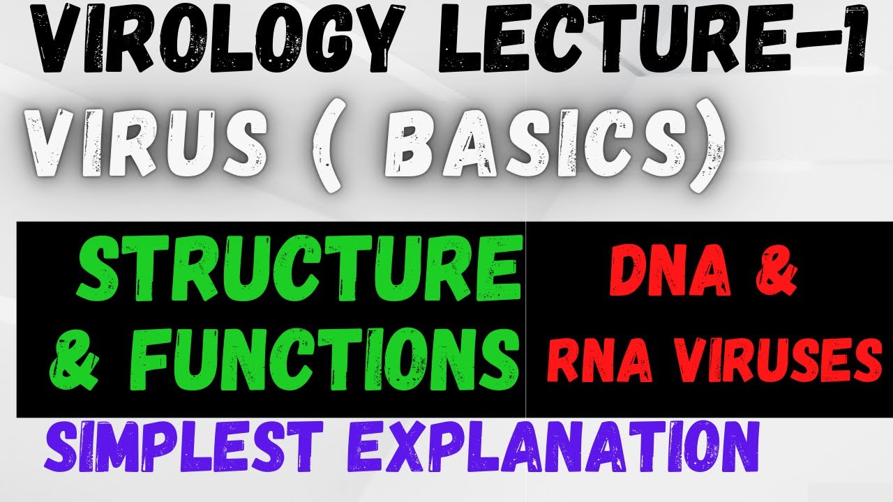Virus Structure and Classification // shape of viruses // DNA VIRUS ...
