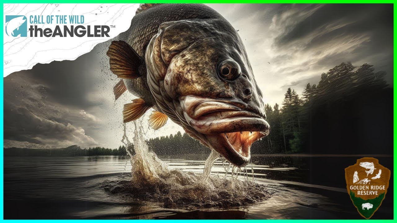 Goldstein - 03/01/25 até 08/01/25 22:59h Call of the Wild The Angler ...