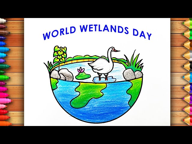 Wetland Animals Drawings