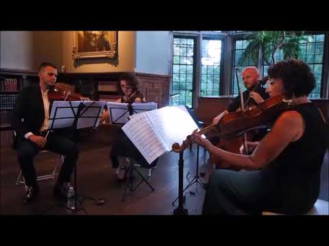 The Dolce Ensemble - Bohemian Rhapsody - YouTube Music