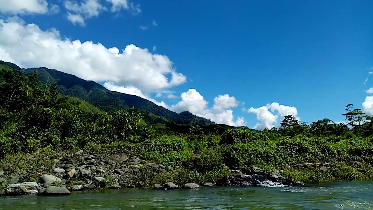 Bamboo Rafting wild river Libacao Aklan - YouTube