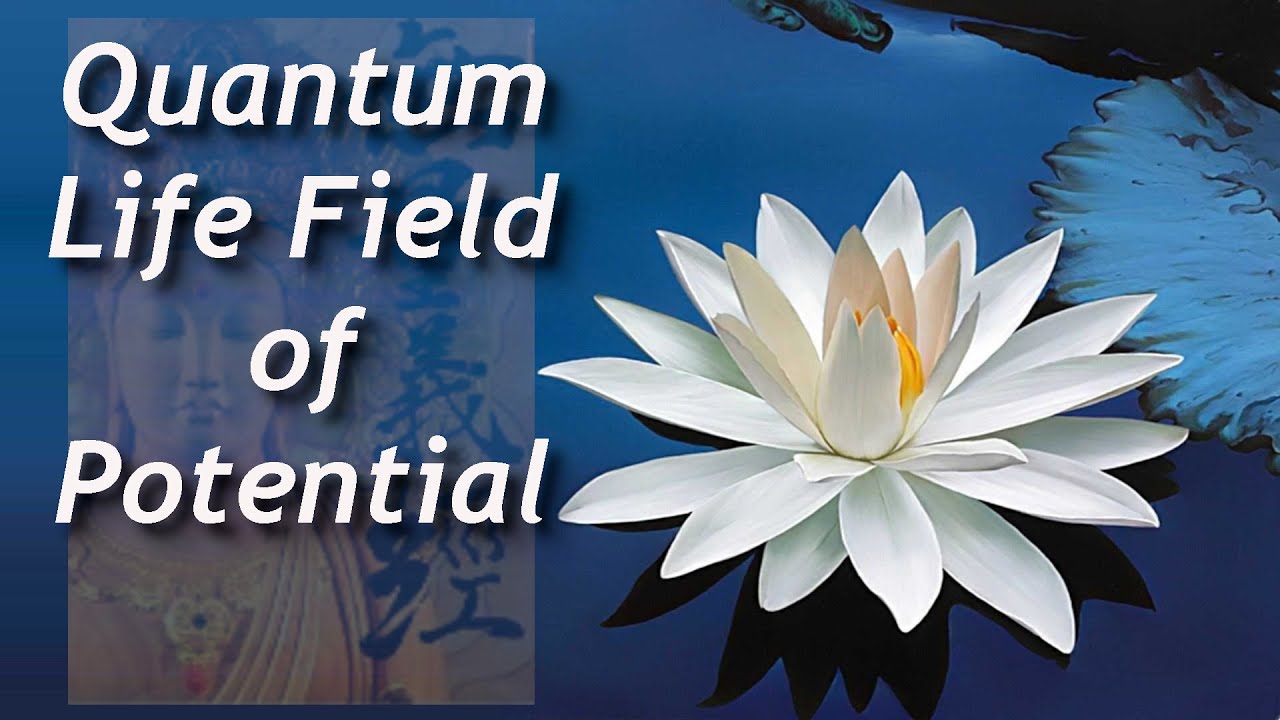 Quantum Life Field of Potential - YouTube