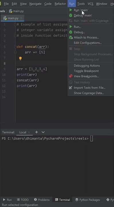Python list function addition vs assignment - YouTube