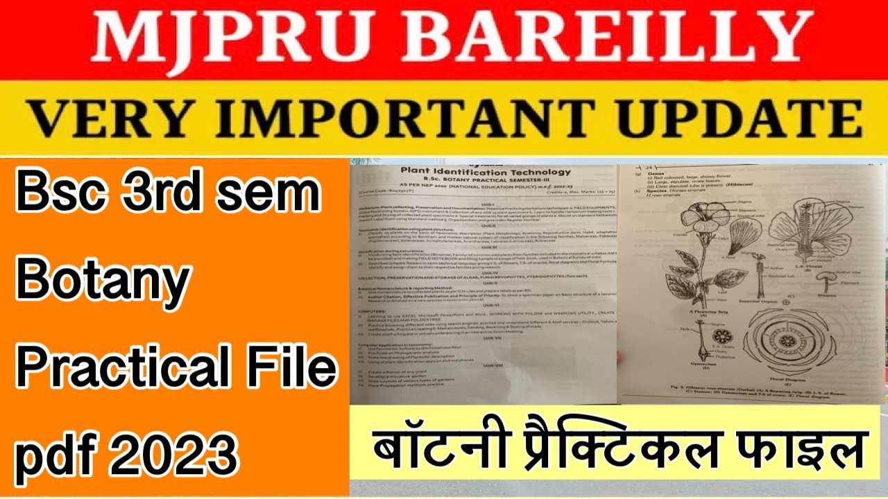 Mjpru Bsc 3rd sem Botany Practical File | How to make Practical file ...