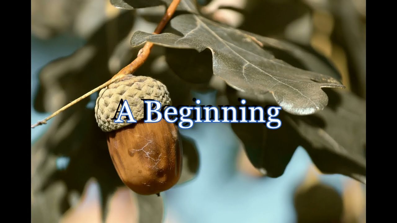 Graham Irwin - A Beginning - YouTube