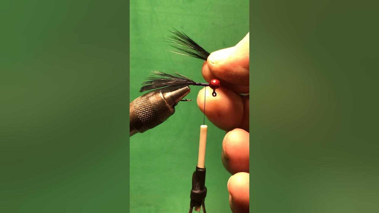 Tying videos for Beginners - video #5 - How to use Hackle feathers ...