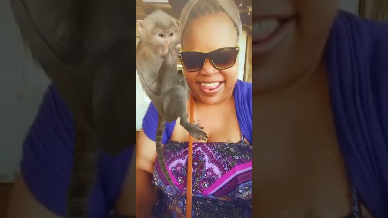 Snapchat Monkey filter. Hilarious! - YouTube