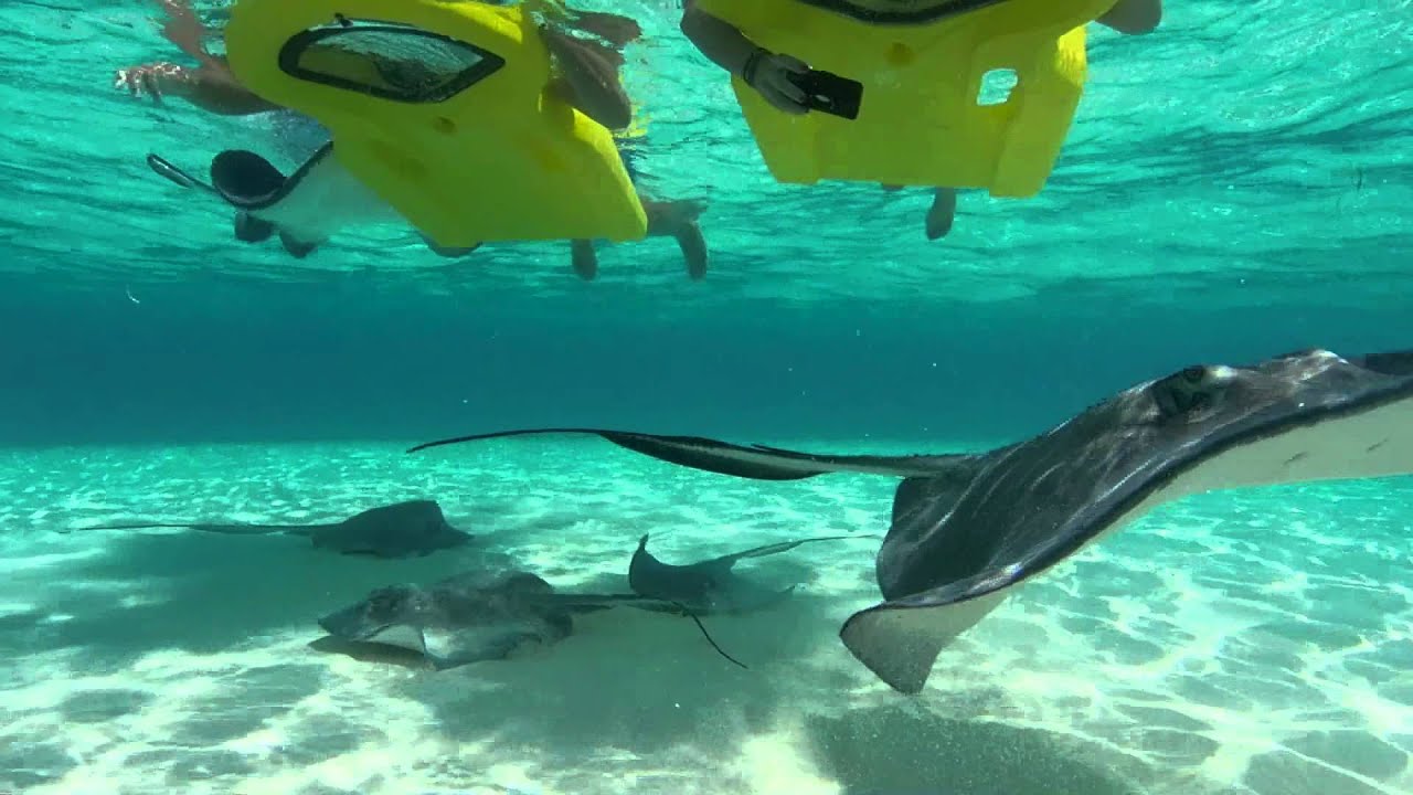 Zayak 130 1 - YouTube