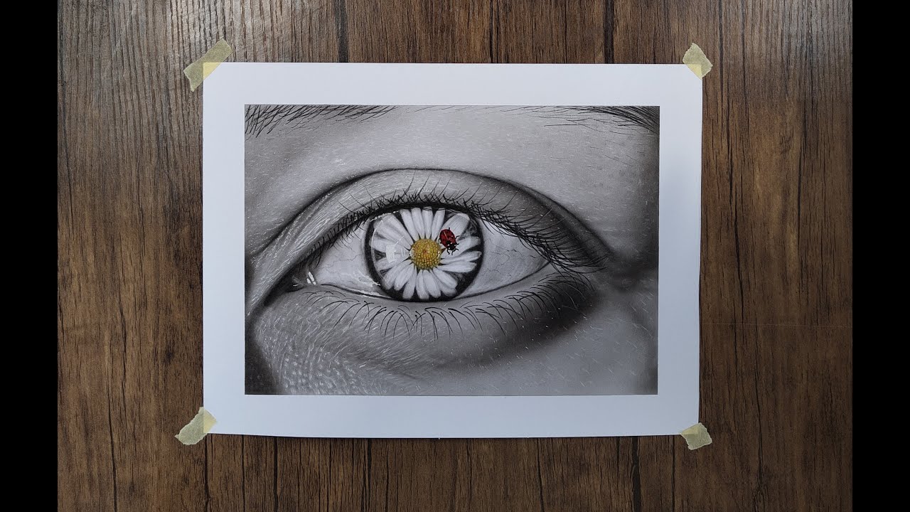 Daisy Eyes Drawing | Time Lapse - YouTube