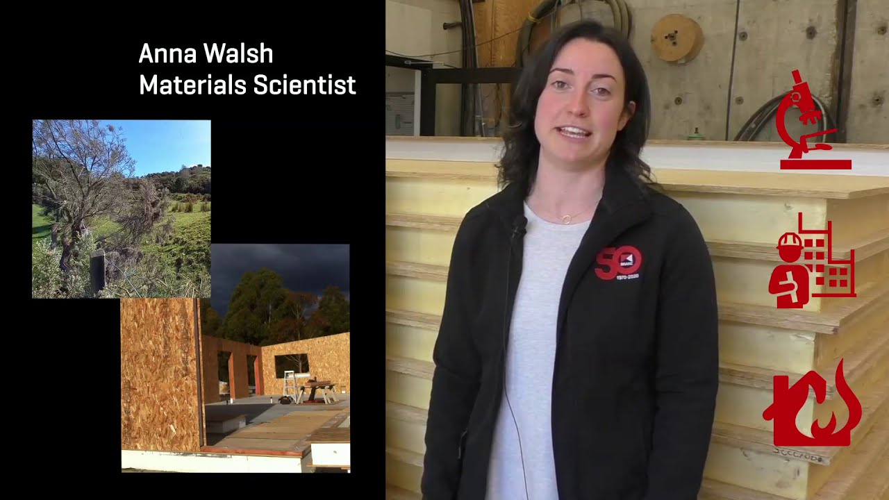 Assessing SIPs in New Zealand - Anna Walsh - YouTube