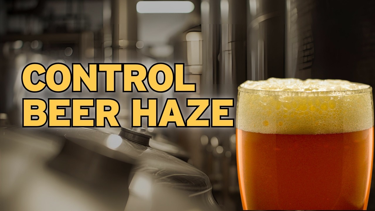 Beer Haze Control (Complete Guide) | QFPB E012 - YouTube