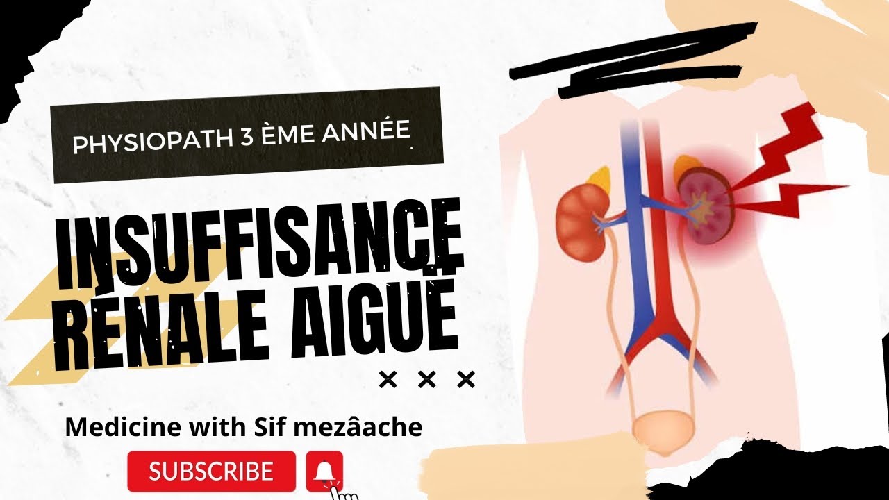 4/ Insuffisance rénale aiguë | Physiopath 3ème MED - YouTube