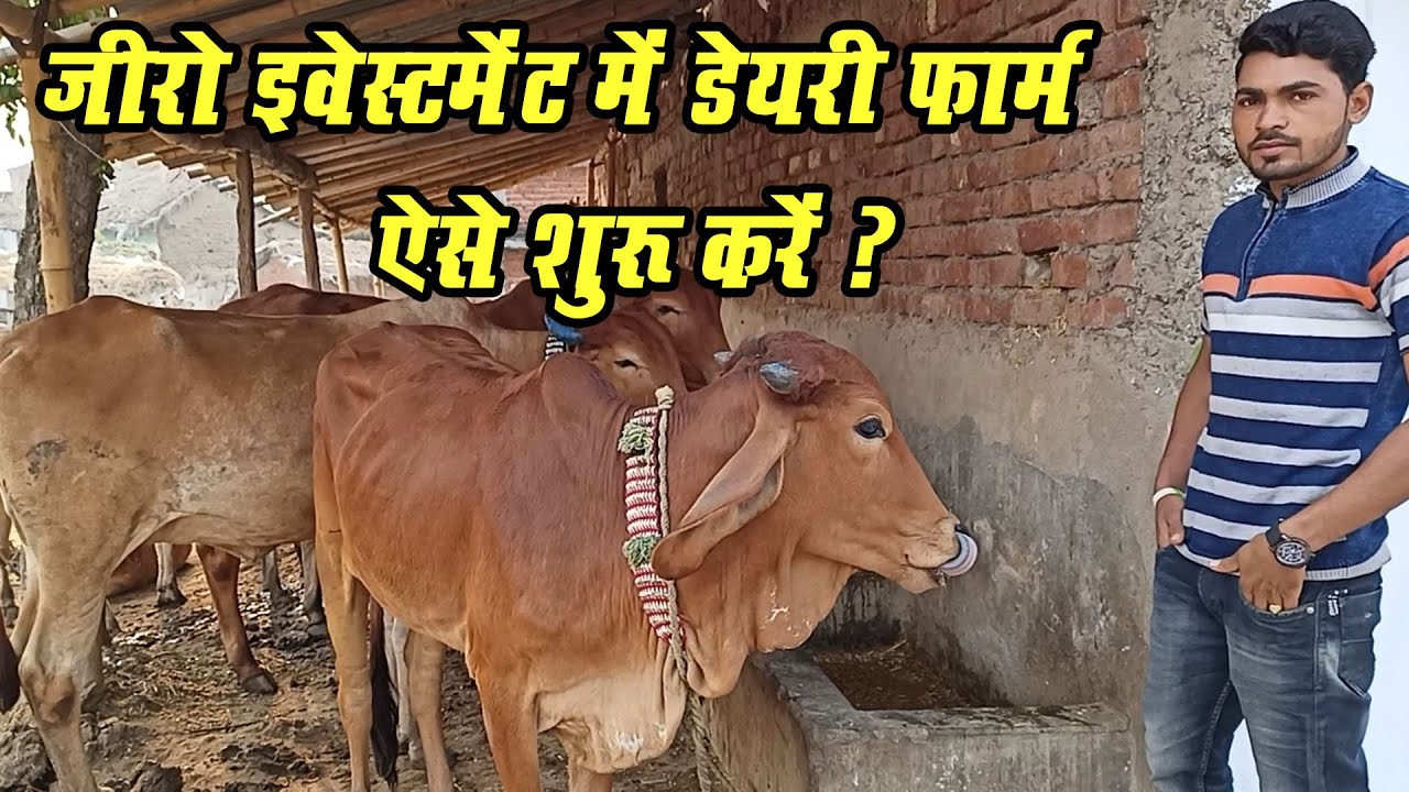 Dairyfarmingcg Cowfarm Dairyfarmingcg Cowfarm