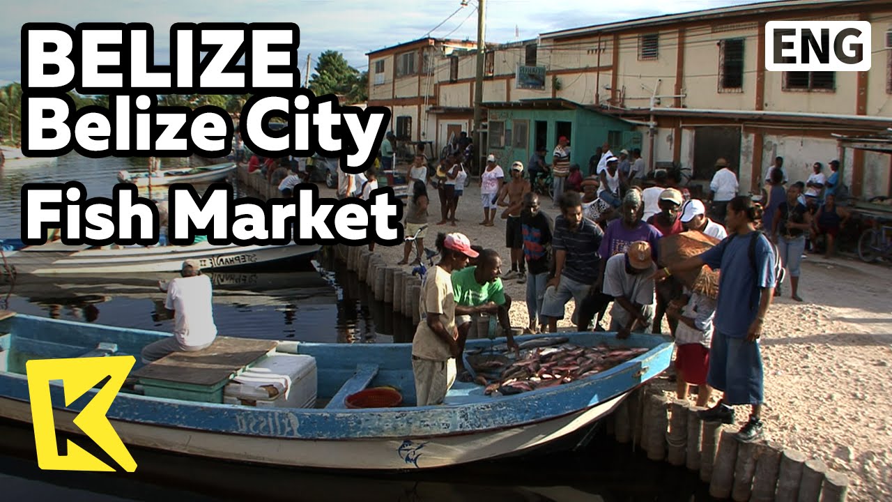 【K】Belize Travel-Belize City[벨리즈 여행-벨리즈시티]카리브해안 운하 마을의 어시장/Fish Market ...