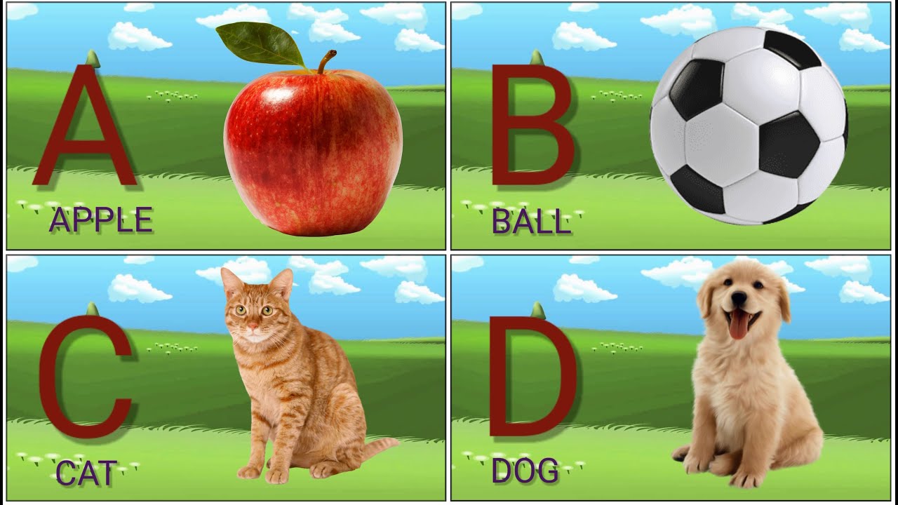A for Apple, B for Ball, C for Cat, D for Dog | Learn ABC Alphabet ...