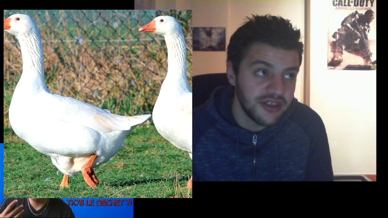 THEKAIRI78 JAGUAR FAKE , COPINE FAKE , EXPLICATION ? - YouTube