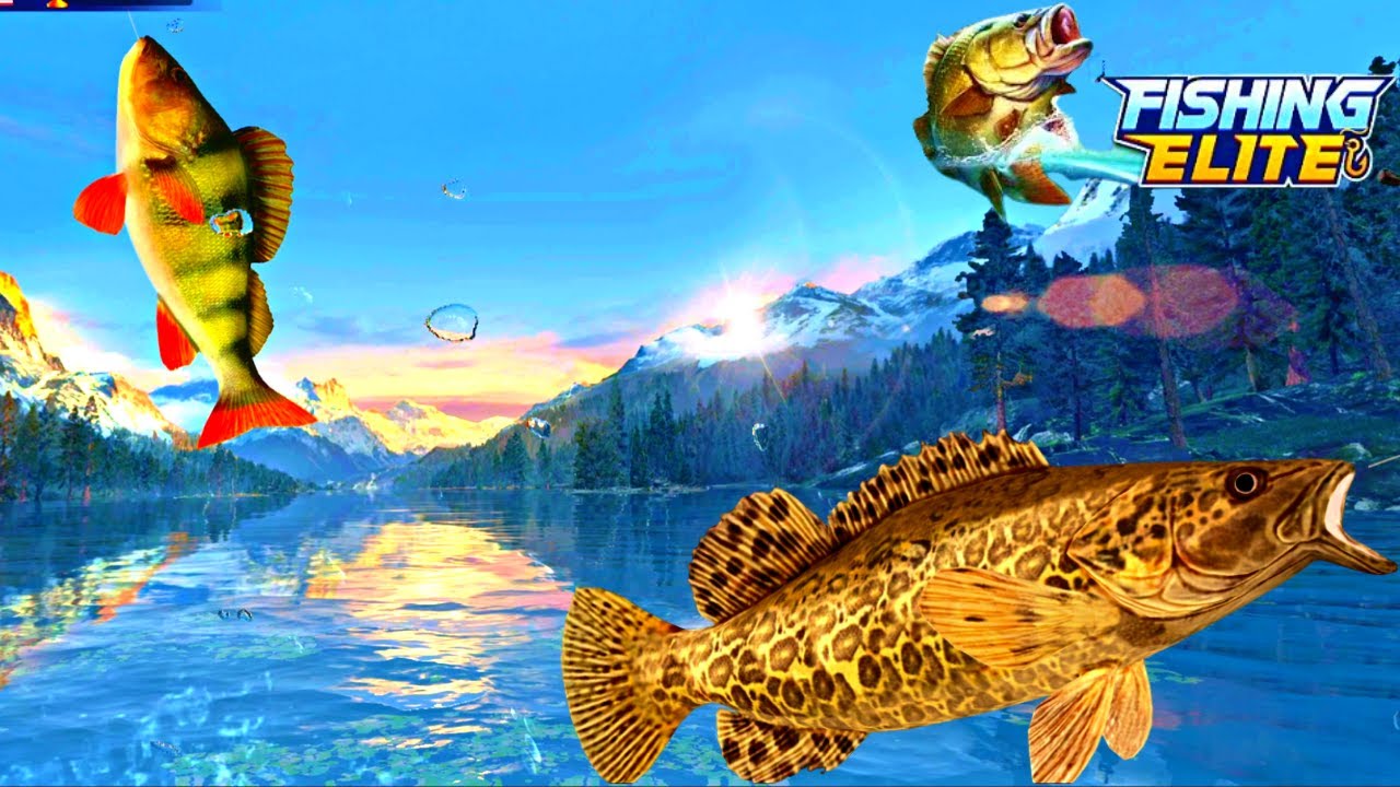 3rd Place in Bass Tournament | Intense Fishing | Fishing Elite | Ep 11 ...