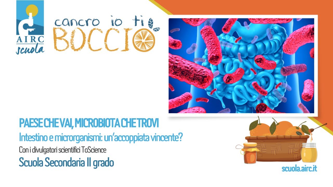 Secondaria II grado - Live Cancro io ti boccio 24 - PAESE CHE VAI ...