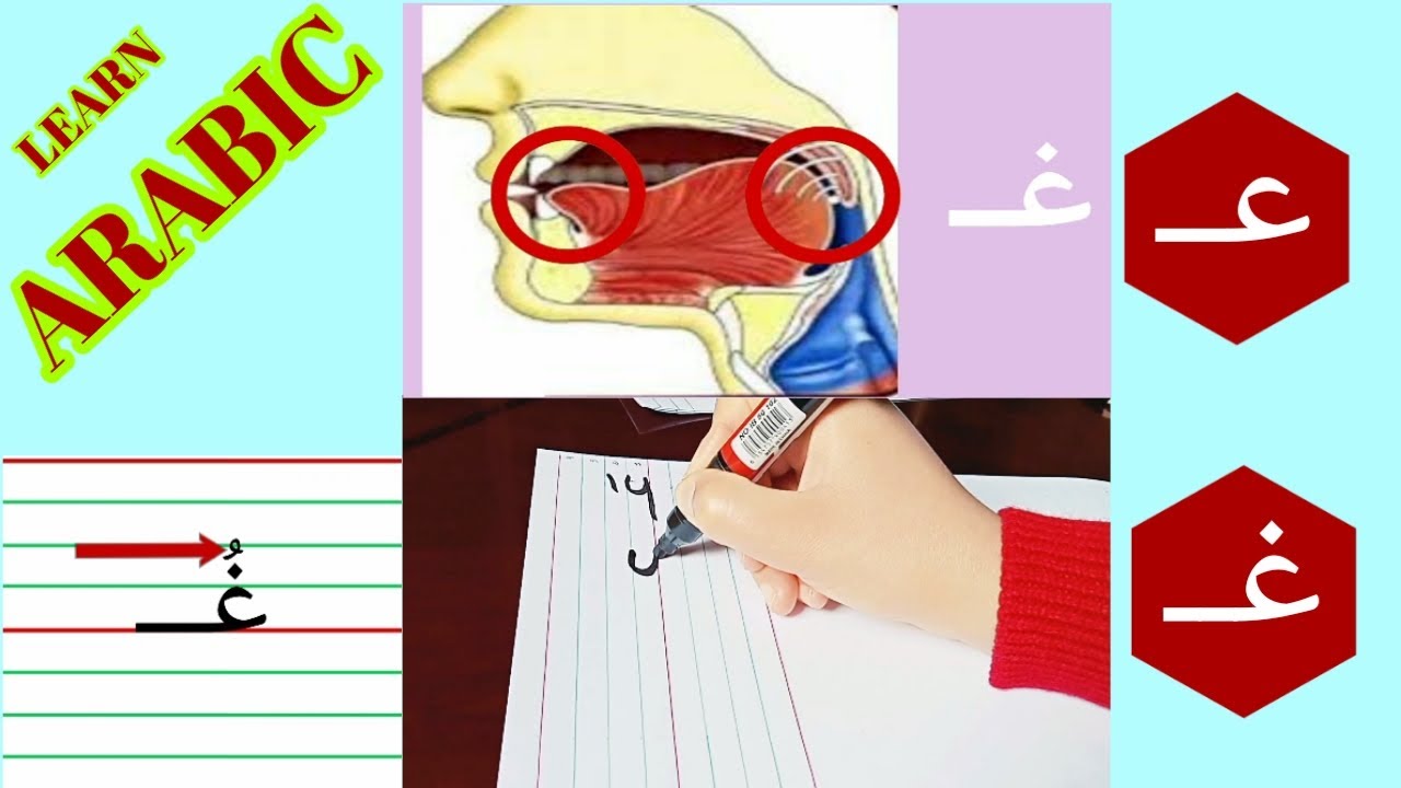Arabic alphabet pronunciation and writing, the letters " عــ " and ...
