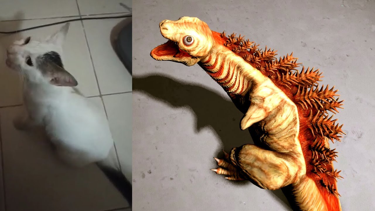 Is This The Godzilla Cat? - YouTube