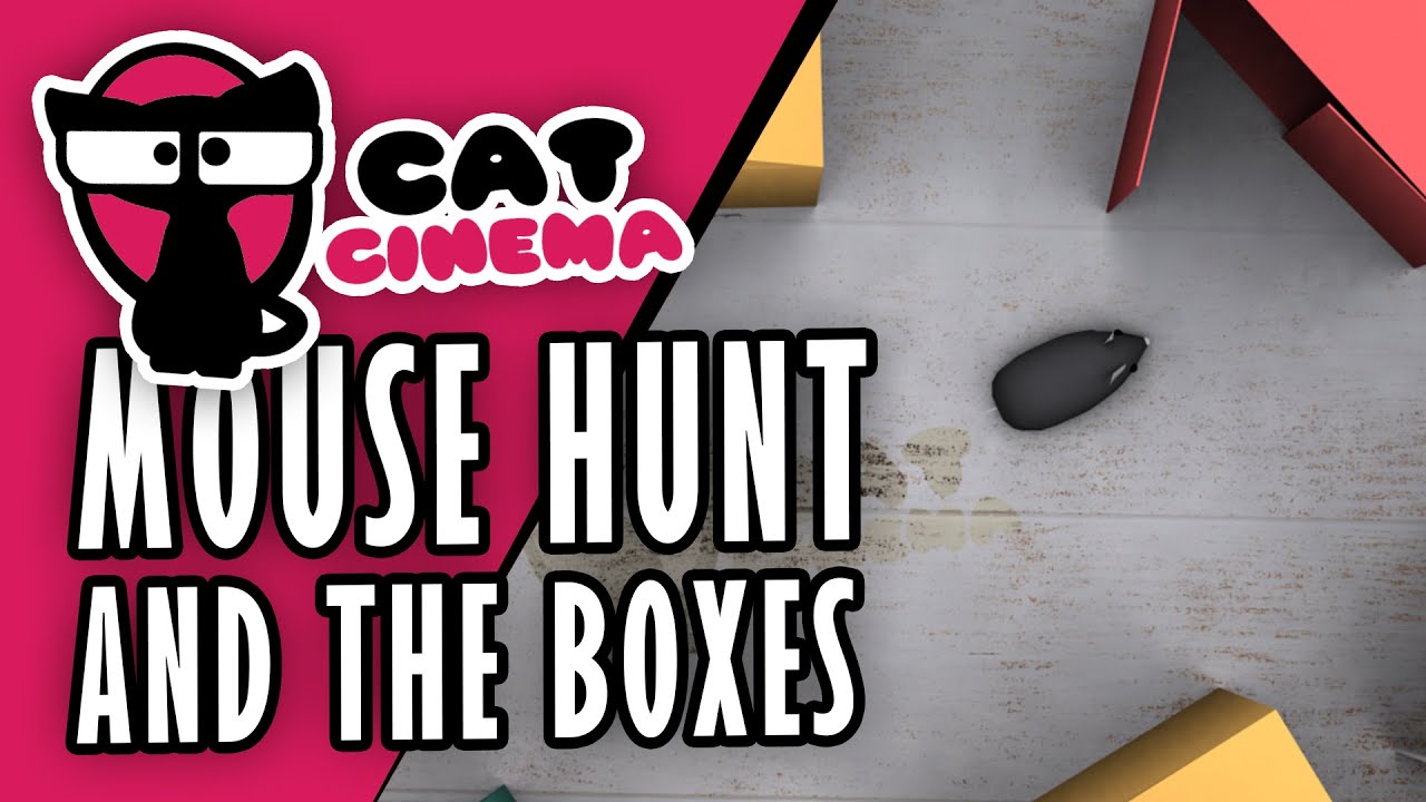 Fun video for Cats - Games for Cats on screen & Entertaining Video for ...