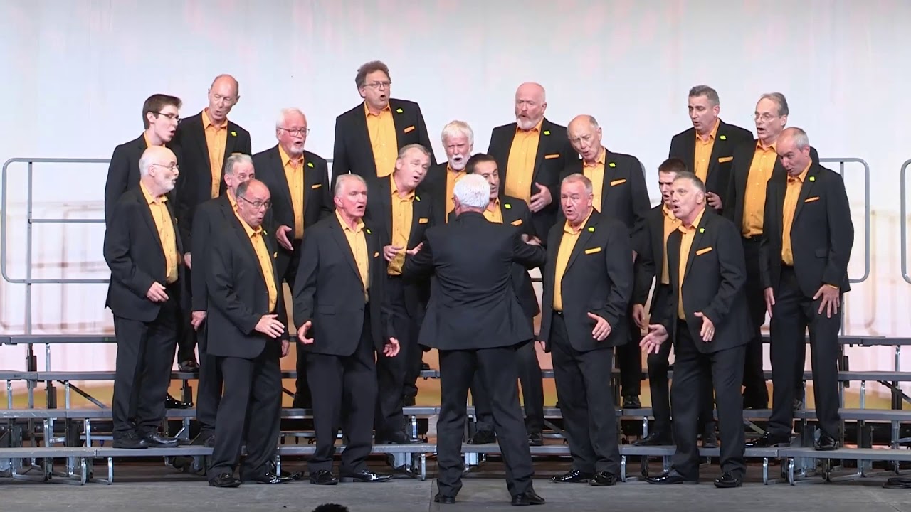 BABS 2019 Male Chorus Contest The ViPs - YouTube