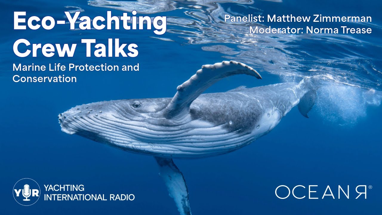 Eco-Yachting Crew Talks - Marine Life Protection and Conservation - YouTube