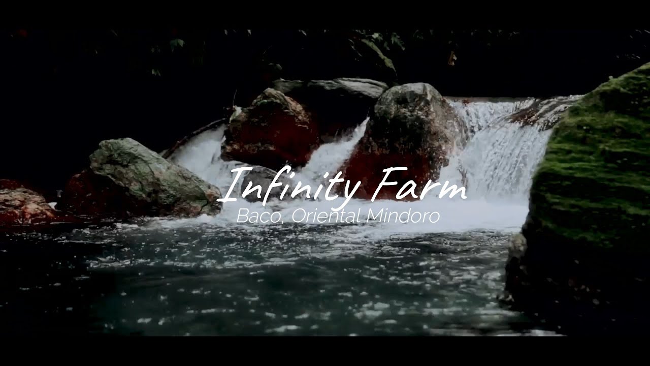 𝐈𝐍𝐅𝐈𝐍𝐈𝐓𝐘 𝐅𝐀𝐑𝐌, 𝐁𝐀𝐂𝐎 𝐎𝐑𝐈𝐄𝐍𝐓𝐀𝐋 𝐌𝐈𝐍𝐃𝐎𝐑𝐎 - YouTube