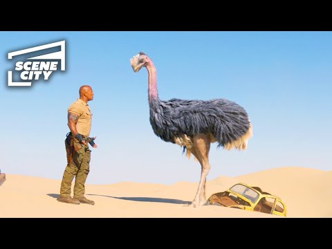 Jumanji: El Siguiente Nivel: Escena de Persecución de Avestruz (The Rock, Kevin Hart 4K HD Escena)