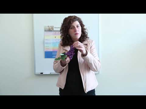 Jennifer Abbass Dick - Part 2 - How the Breast Makes Milk