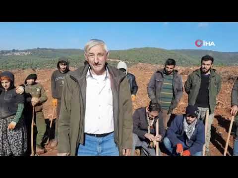 Diyarbakır'dan Afyon'un dağlarını yeşillendirmek için geldiler